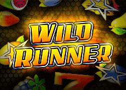 Klassieke slots | Goldrun Casino: "Bekend uit café, cafetaria en arcade"